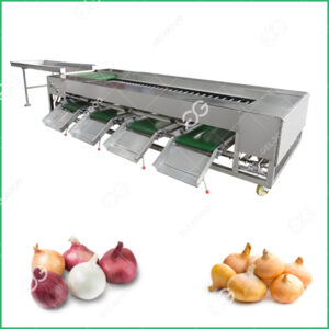 High Efficiency Onion Size Sorting Machine For Sale - Onion Processing ...