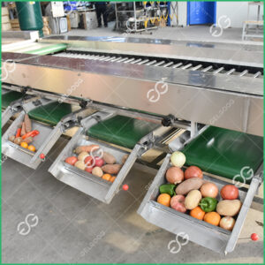 Stainless Steel Onion Sorting And Grading Machine Support Customization