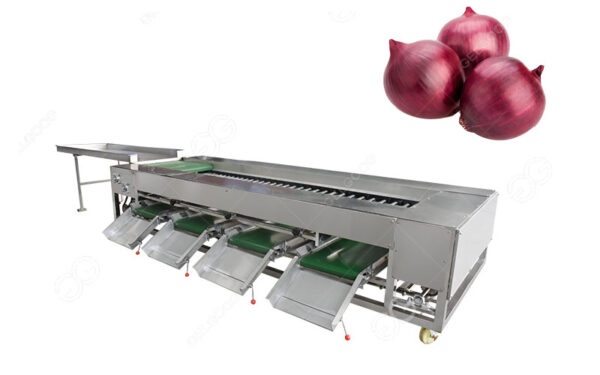 What Is The Purpose of A Sorting Machine? - Onion Processing Machine